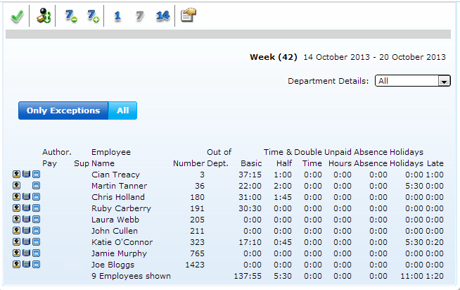 Summary Timesheet